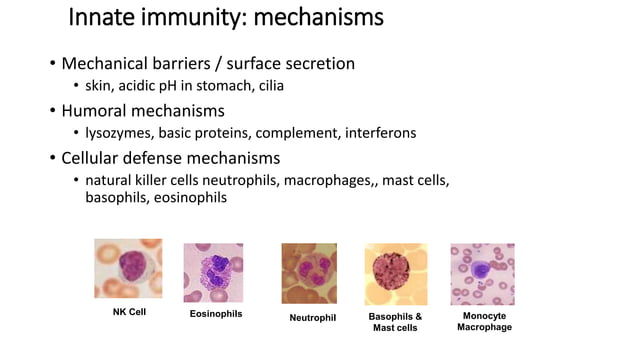 host pathogen interaction, Mechanism of pathogenesis | PPTX