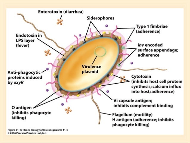 Host pathogen interactions