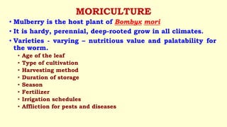 host plant cultivation.pptx