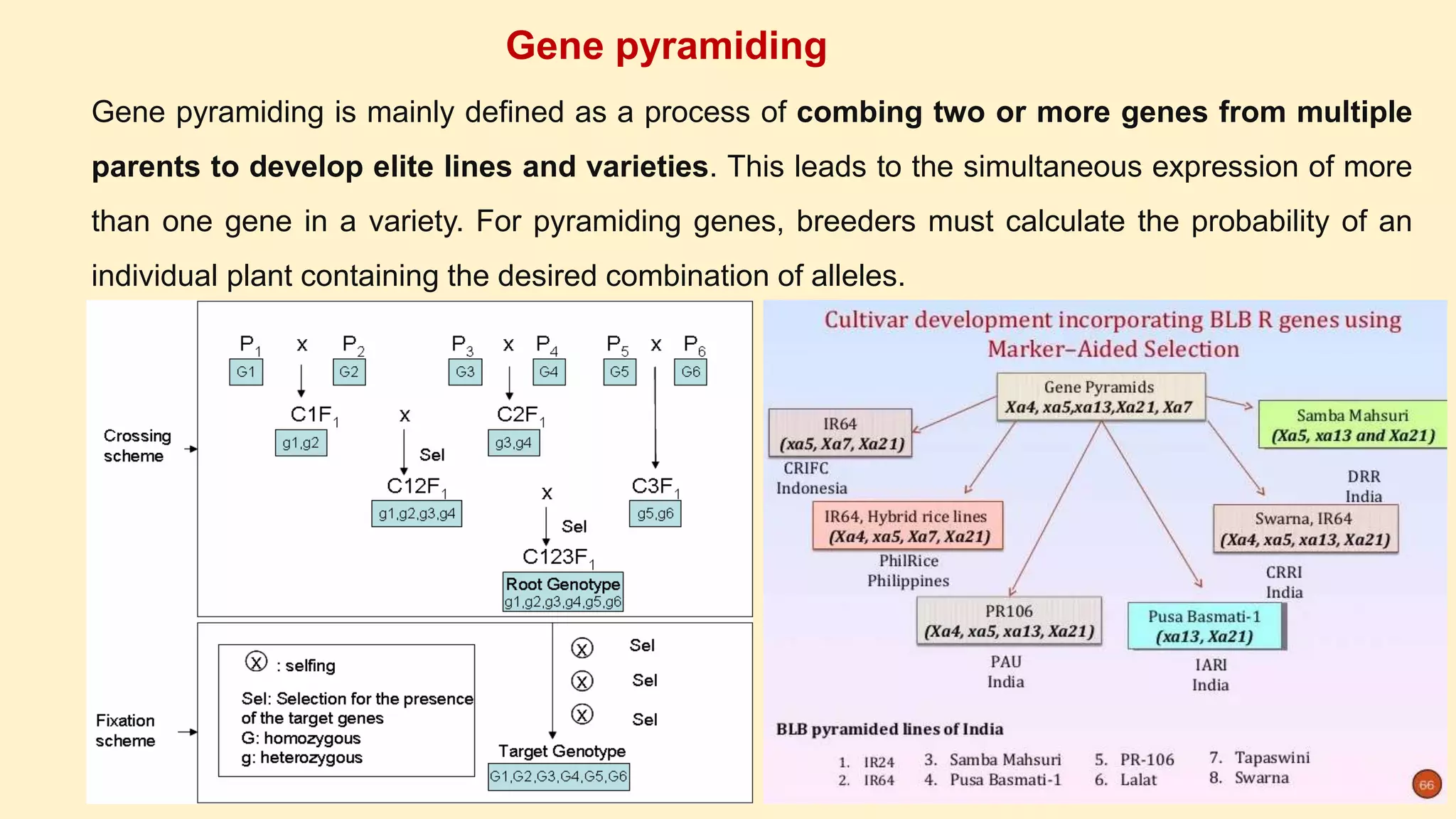 Host plant interaction.pptx