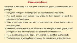 Host plant interaction.pptx