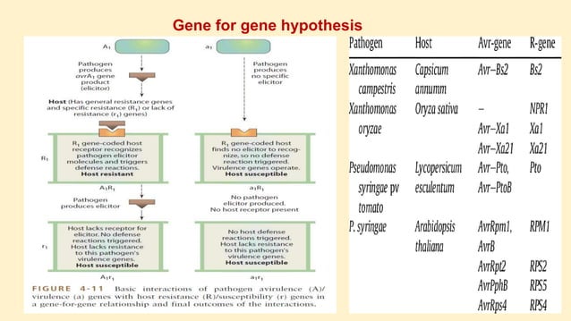 Host plant interaction.pptx