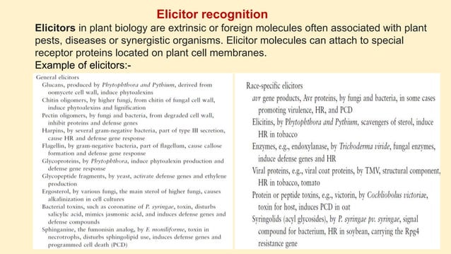 Host plant interaction.pptx