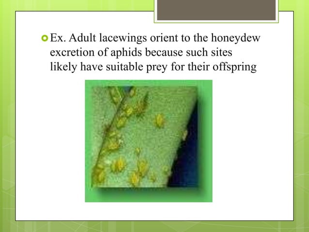Host seeking behaviour of insects | PPSX