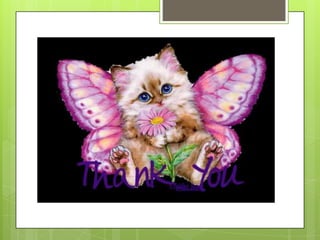 Host seeking behaviour of insects | PPSX