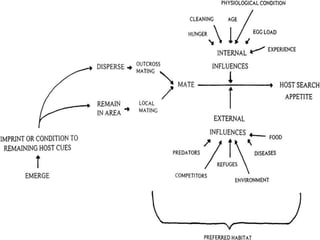 Host seeking behaviour of insects | PPSX