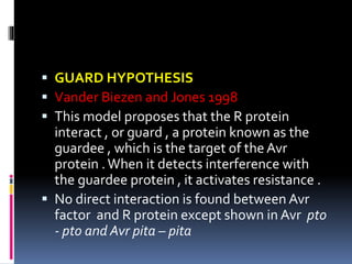 HOST TARGET.pptx ( RANJEET KUMAR MAURYA ) | PPT