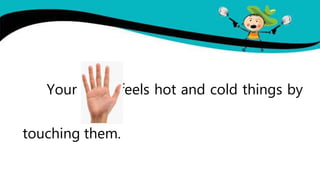 Hot and Cold Things | PPTX