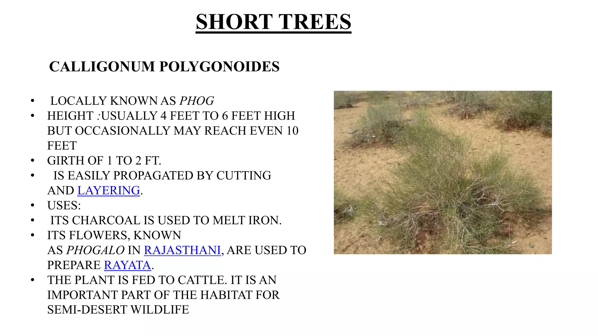 Case Study on Hot and Dry Climate | PPTX