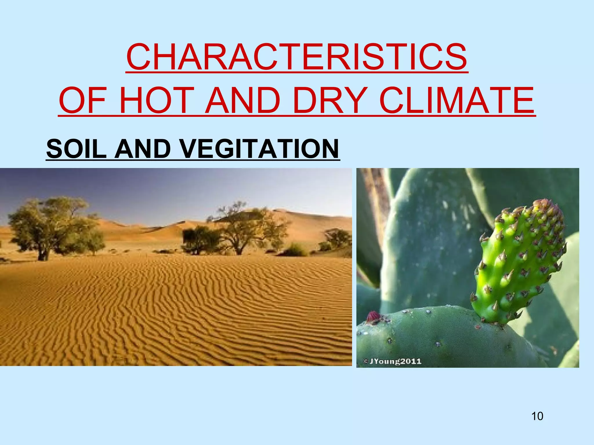 Hot and dry climate | PPT