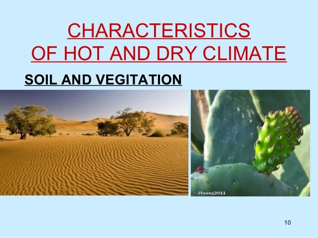 Hot and dry climate
