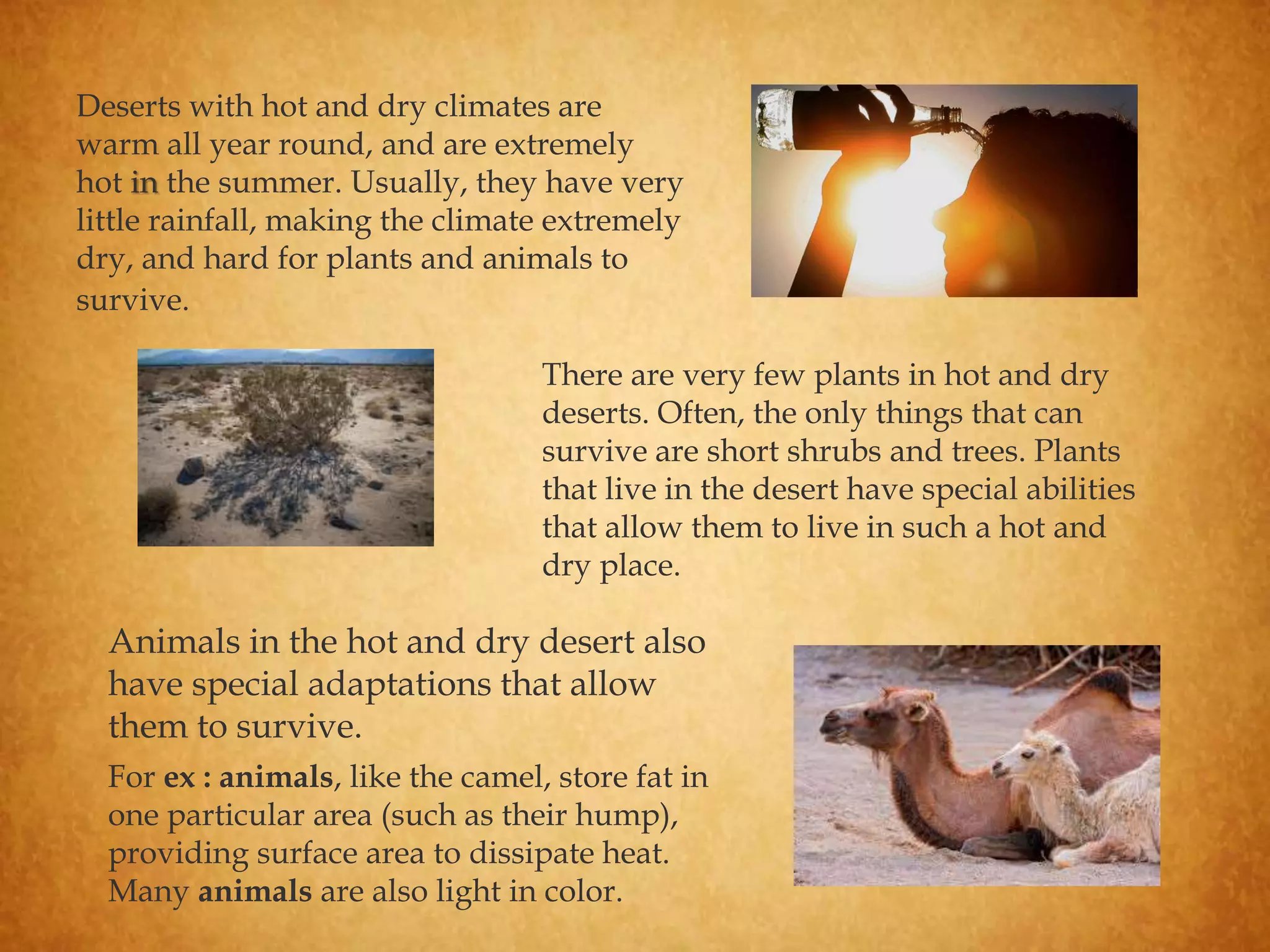 Hot and dry climate case study. | PPTX