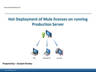 Hot deployment of Mule licences and installing on running production ...