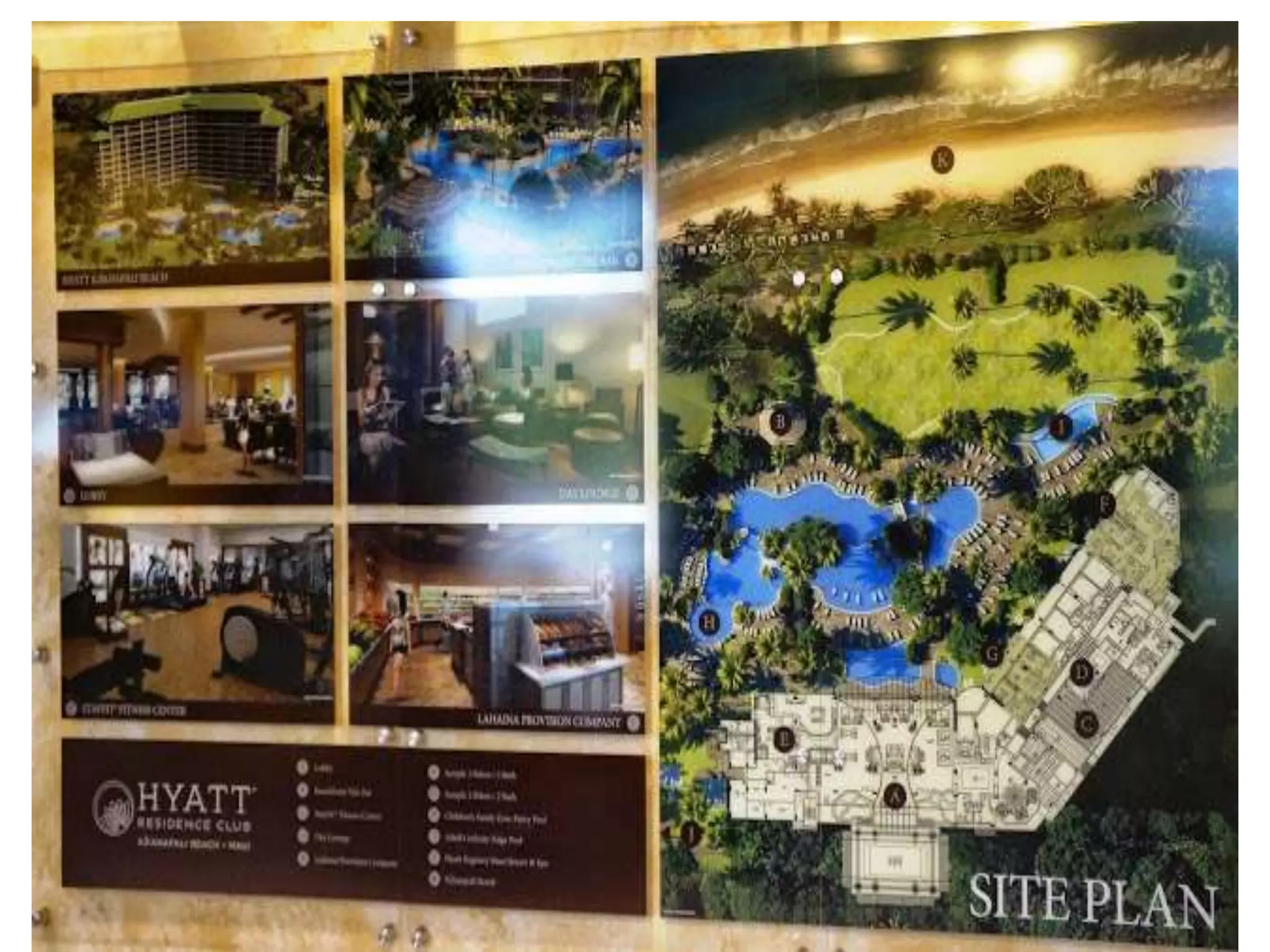 Hotel and classification of hotels | PPTX