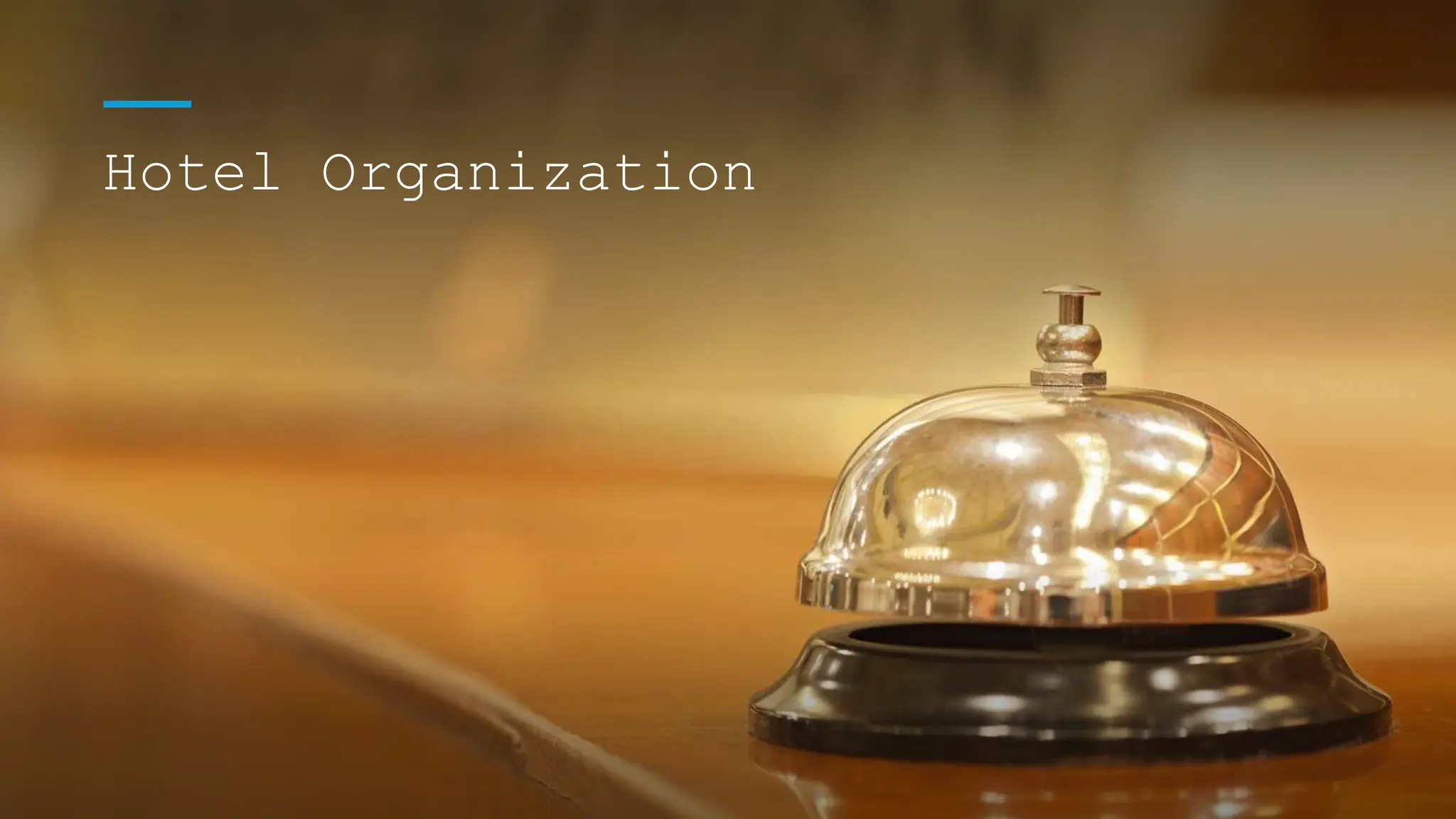 Hotel Organization Presentation LMS.pptx