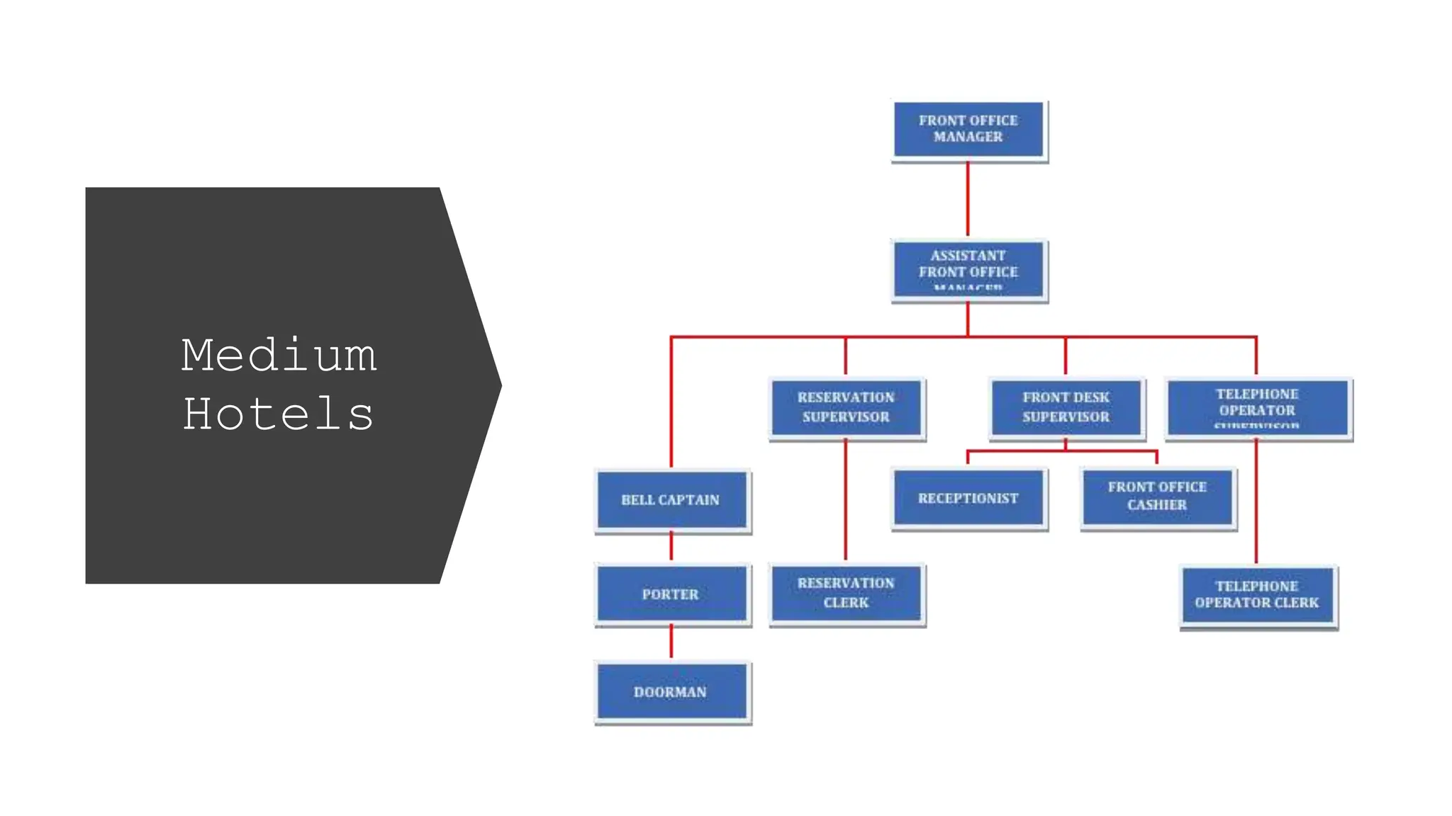 Hotel Organization Presentation LMS.pptx