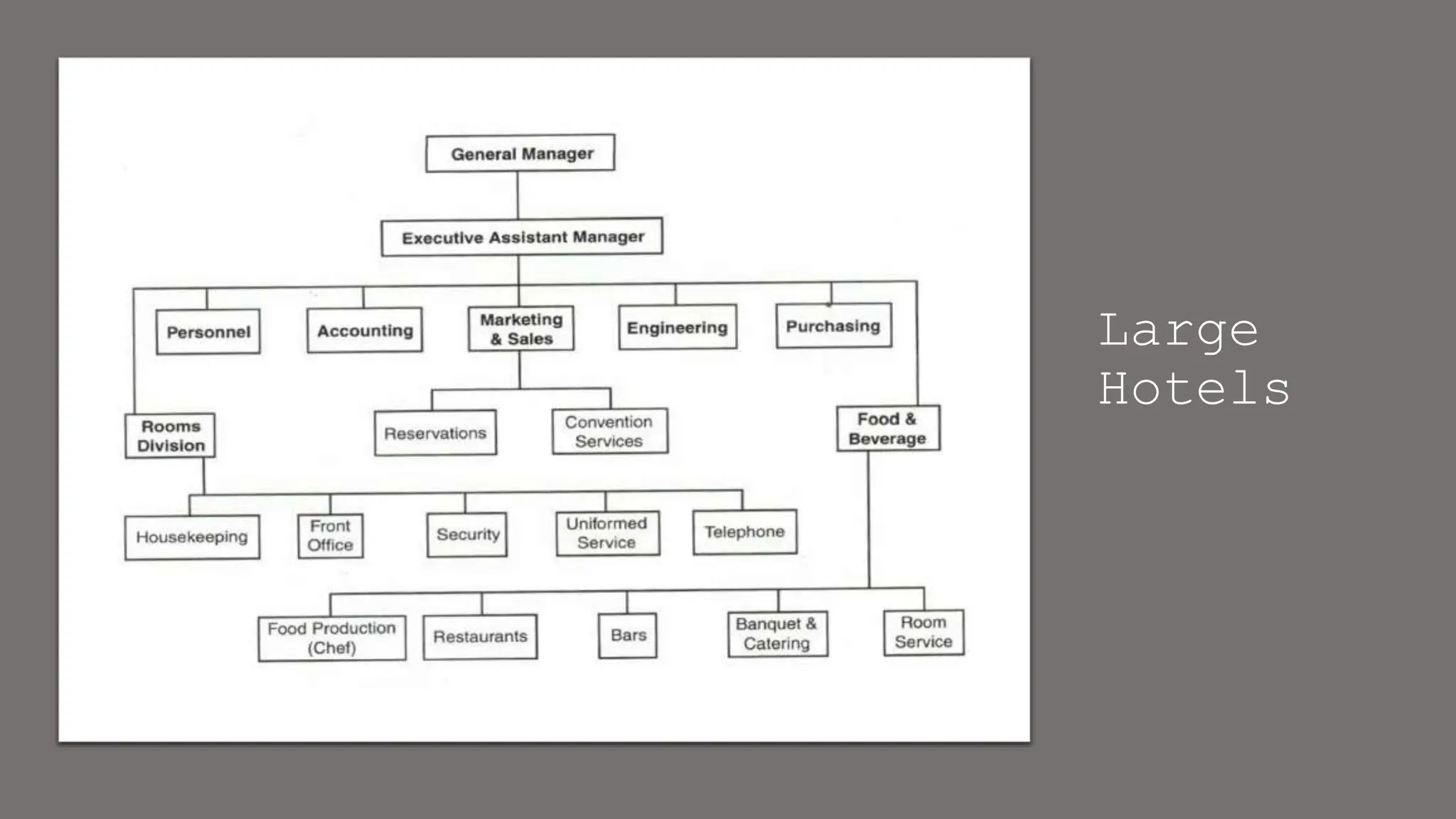 Hotel Organization Presentation LMS.pptx