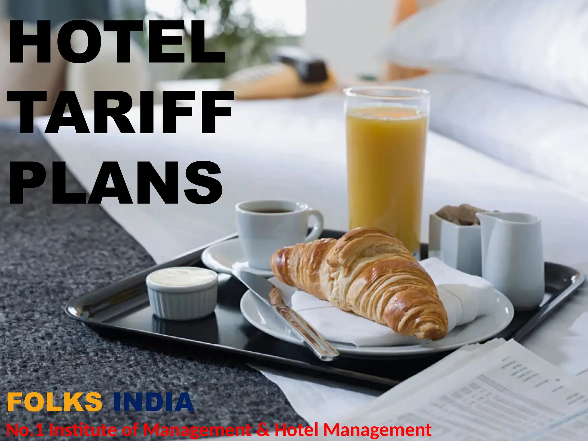 hotel tariff plan (Hemant Anand sir).pptx