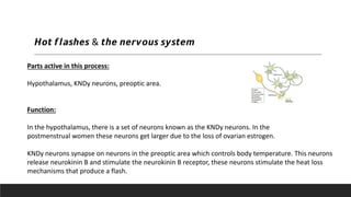 Hot Flashes.pptx