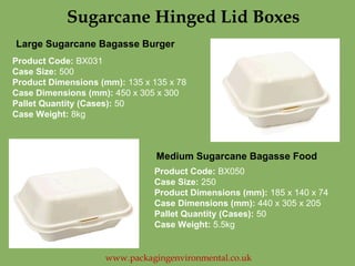 Hot food containers | PPT