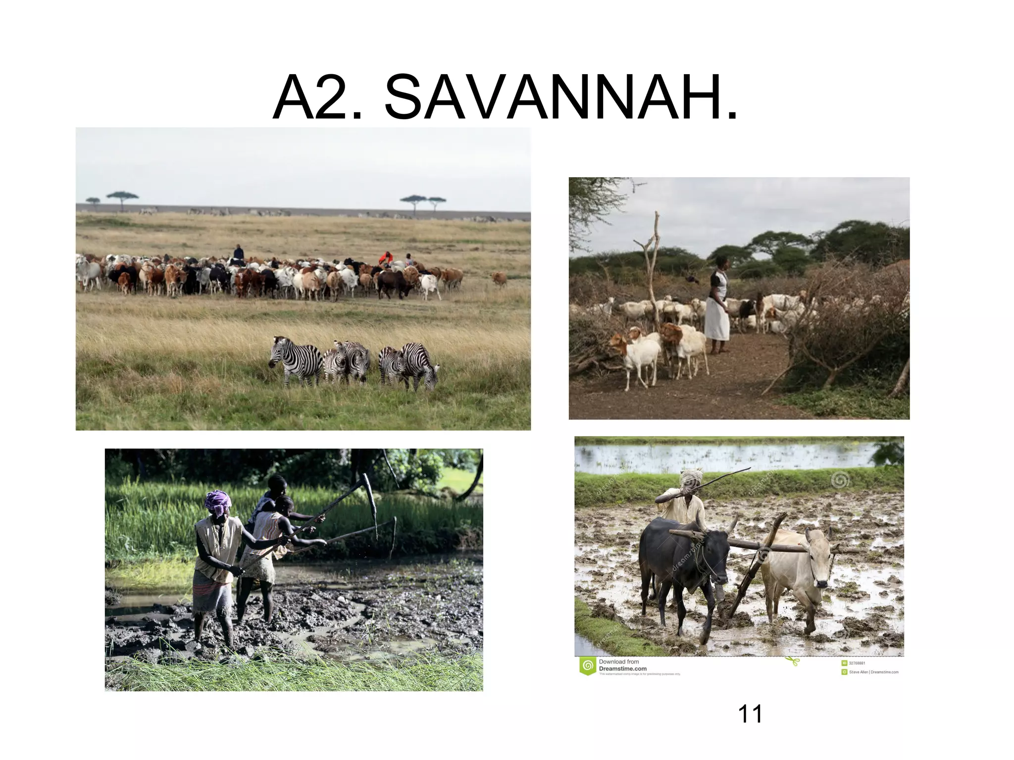 Hot landscapes 1º | PPT