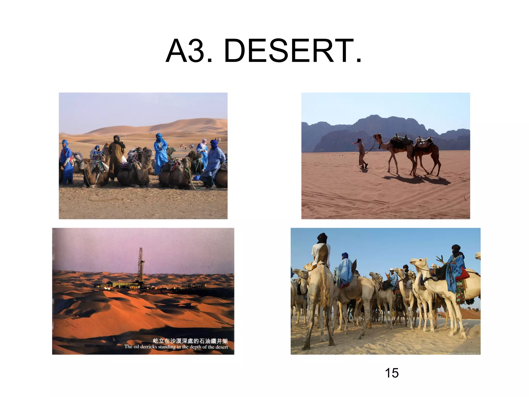 Hot landscapes 1º | PPT