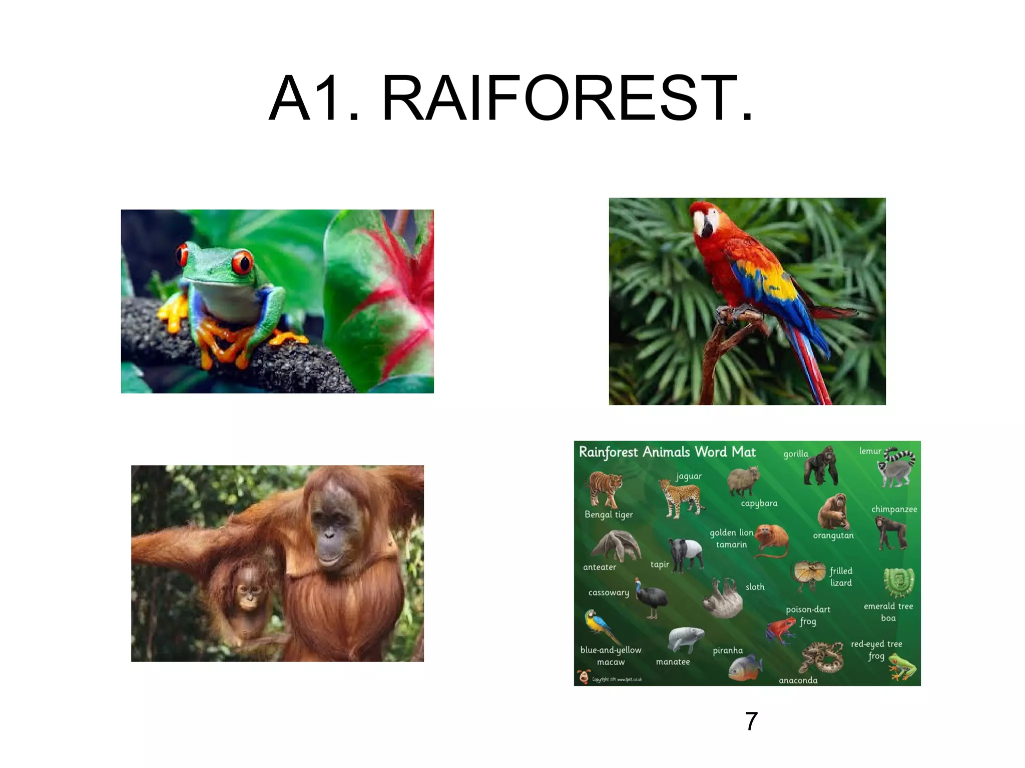 Hot landscapes 1º | PPT