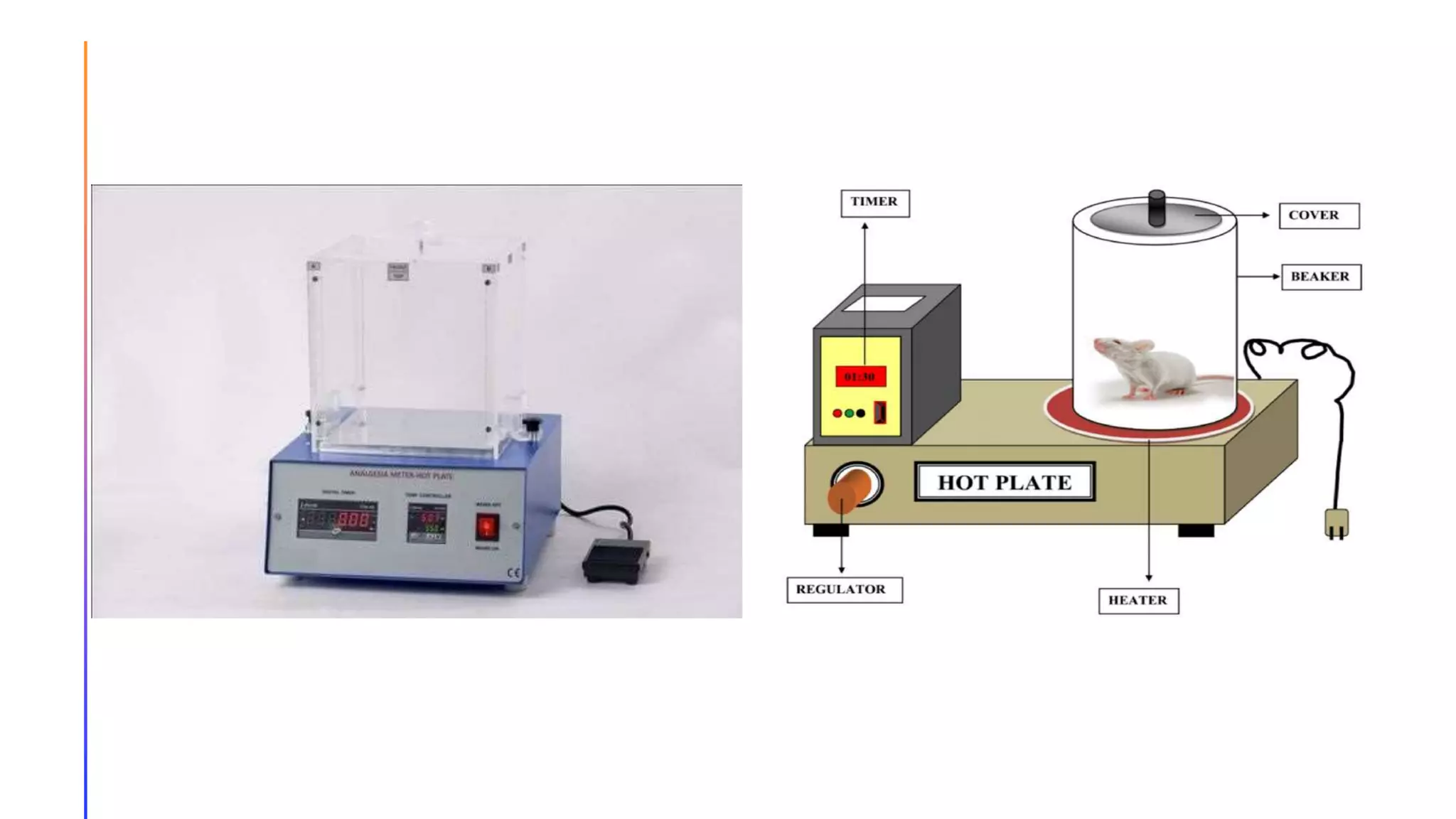 Hot plate analgesiometer | PPTX