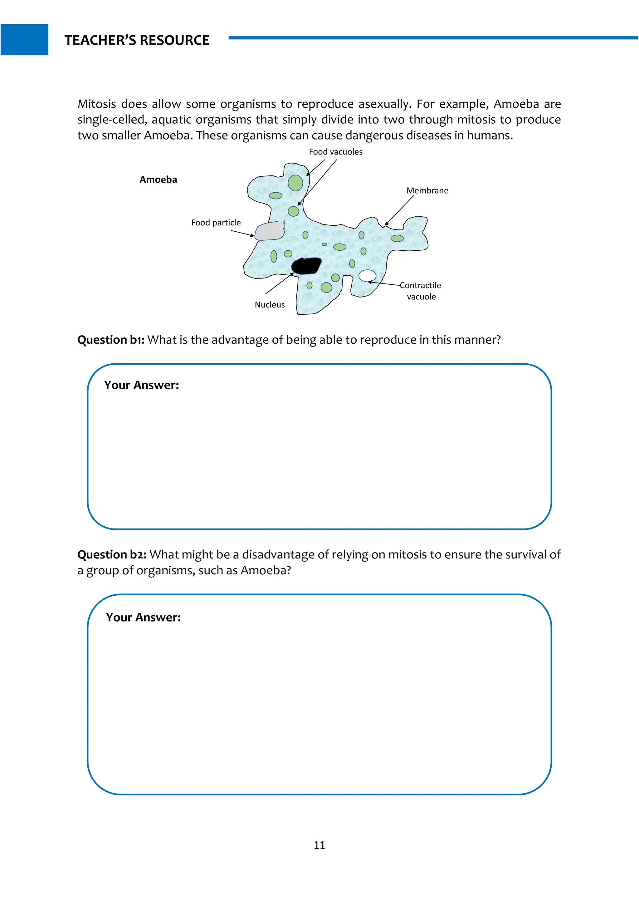 HOTS-PLP-Teachers guide for matatag pfdd | PDF