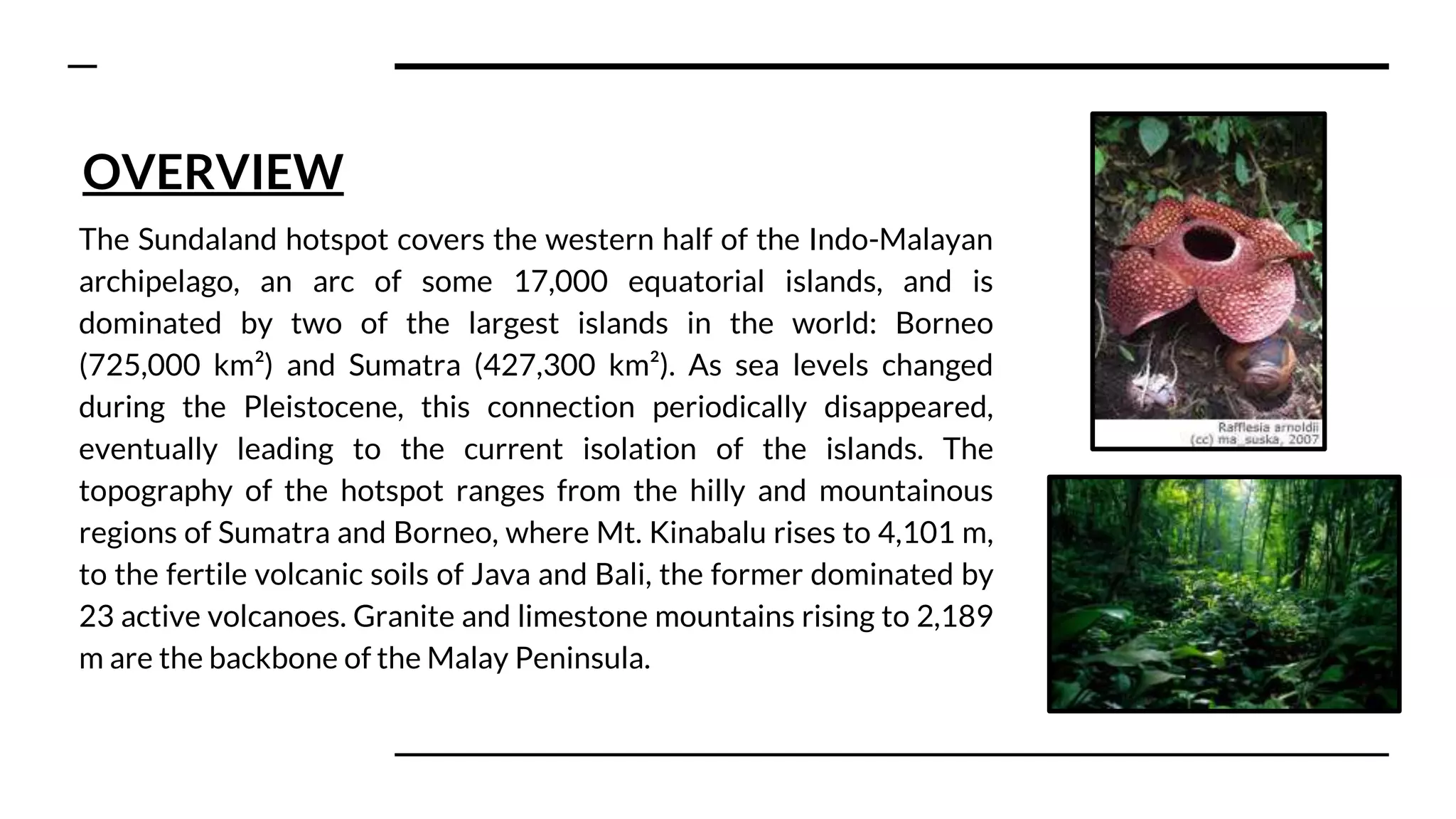 Hotspot: India As a Mega Biodiversity Hotspot | PPTX