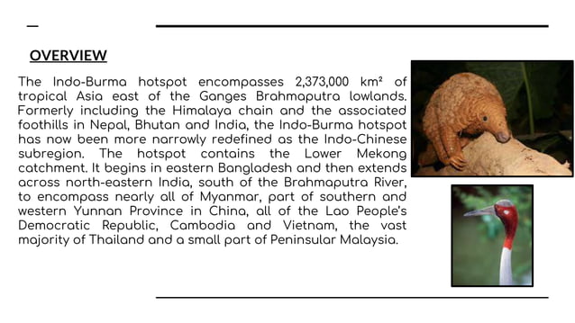 Hotspot: India As a Mega Biodiversity Hotspot | PPTX | Asia Travel ...