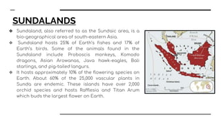 Hotspot: India As a Mega Biodiversity Hotspot | PPTX | Asia Travel ...