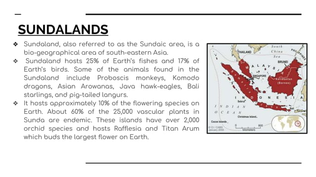 Hotspot: India As a Mega Biodiversity Hotspot | PPTX | Asia Travel ...