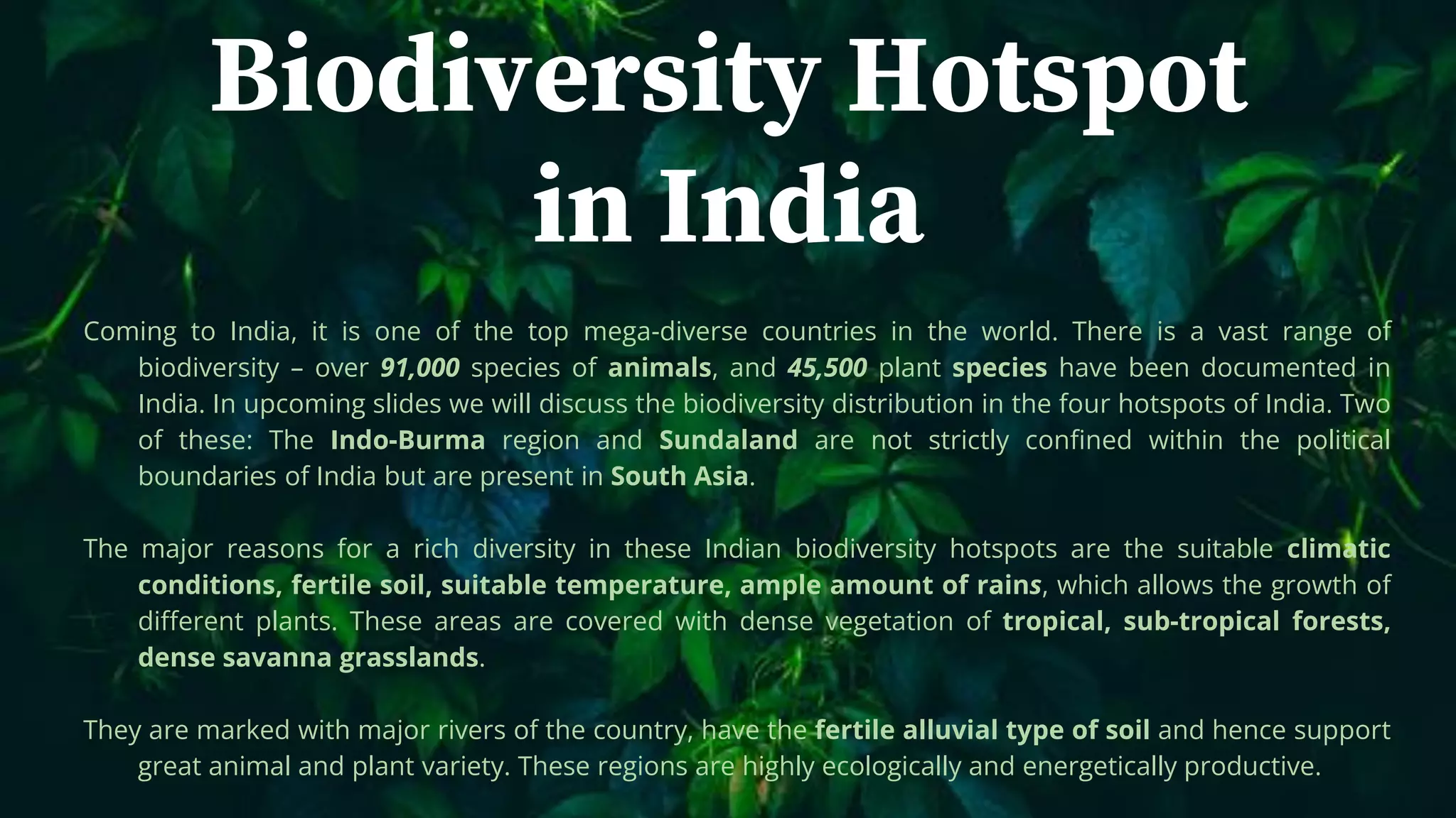 Biodiversity Hotspots in India | PDF