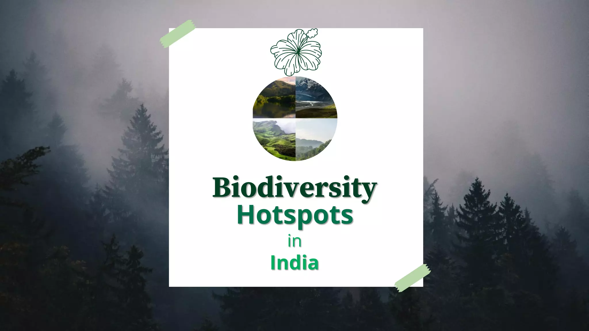 Biodiversity Hotspots in India | PDF