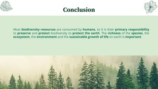 Biodiversity Hotspots in India | PDF