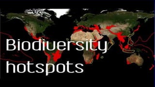 Hotspots | PPT