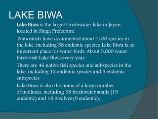 Hotspots of biodiversity | PPTX