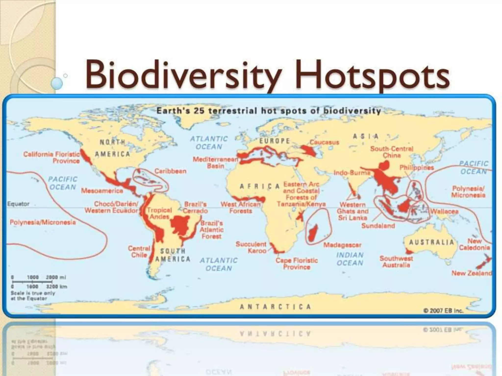 Hot spots of biodiversity | PPTX