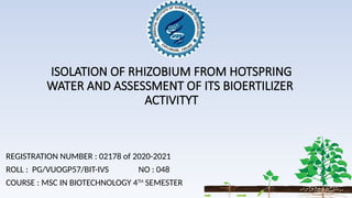 Hot springs Rhizobium as biofertilizer.pptx