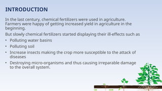 Hot springs Rhizobium as biofertilizer.pptx