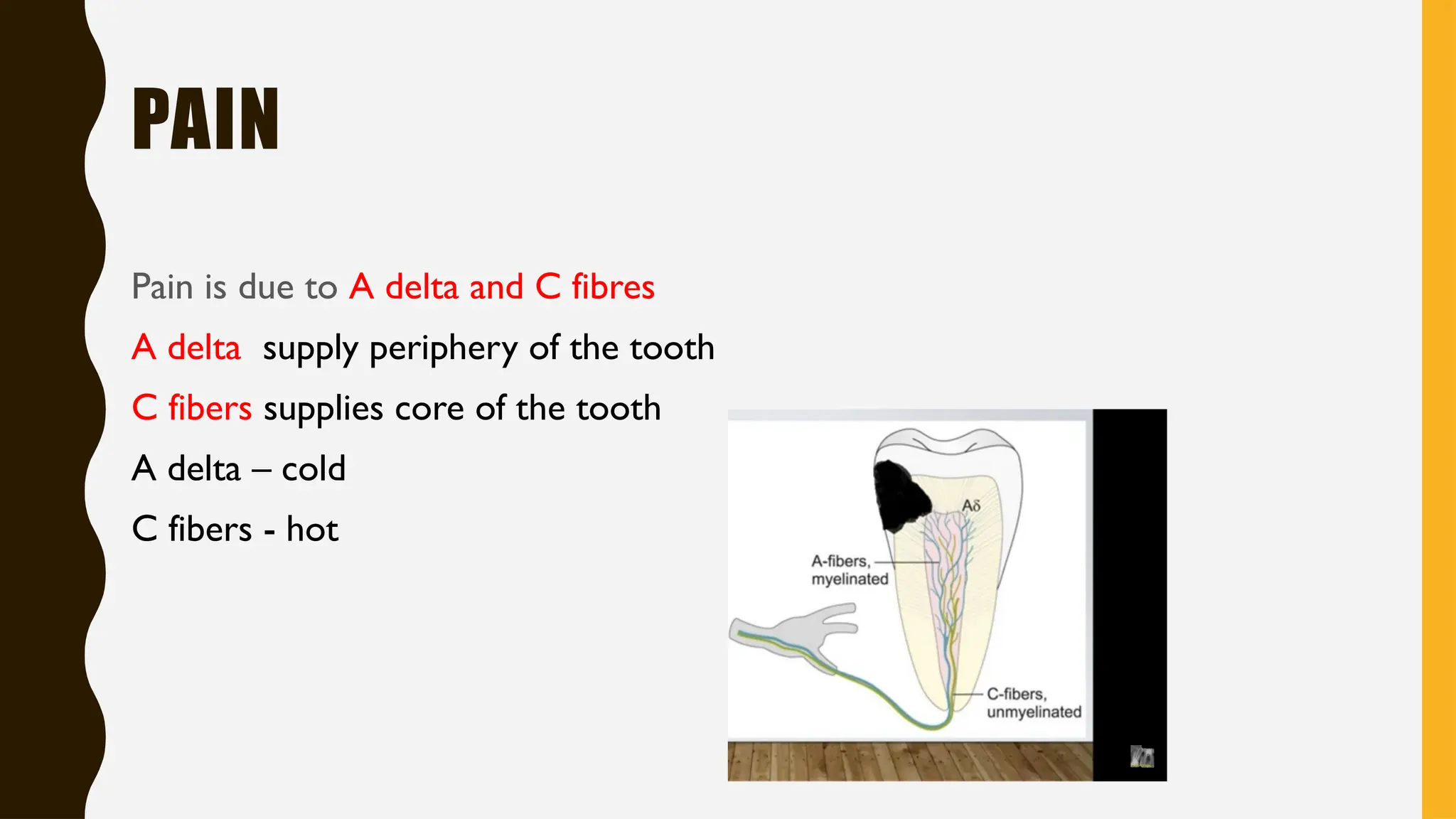 HOT TOOTH-1. Powerpoint presentation pptx | PPTX