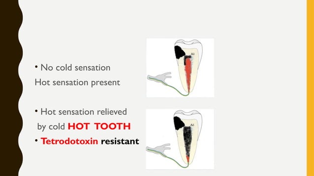 HOT TOOTH-1. Powerpoint presentation pptx | PPTX