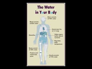 Hot Weather Preparation and Survival | PPT