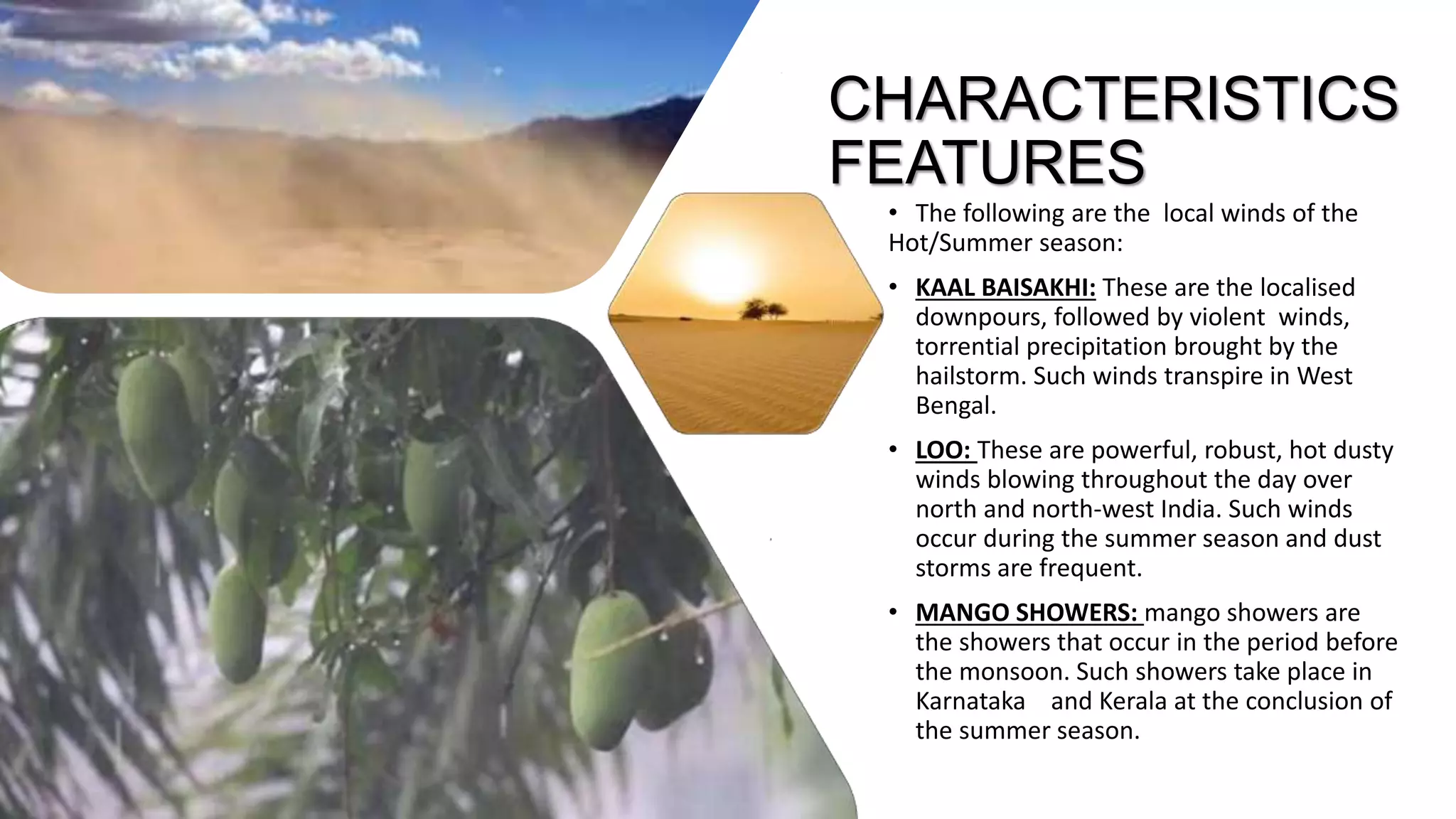 Hot weather season/ summer season | PPTX