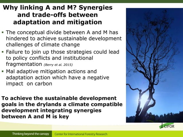 Linking adaptation and mitigation to achieve climate compatible ...