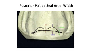 house classification for behavior management of patient.pptx