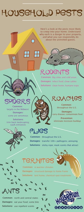 Household Pests | PDF