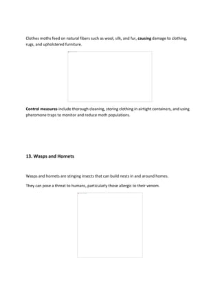 Household pests -assignment-Entomology... | DOCX
