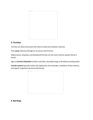 Household pests -assignment-Entomology... | DOCX